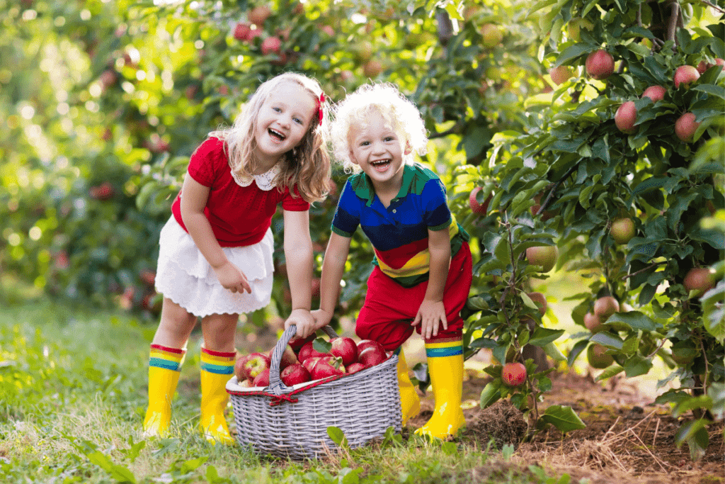 Fall Activities - 10 Ideas For Outdoor Activities With Kids • FamilyApp