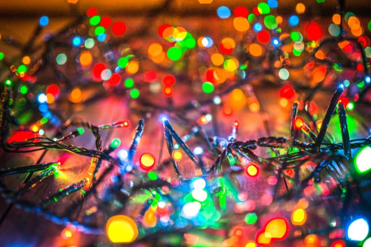 The Ultimate Christmas Lights Survival Guide • FamilyApp